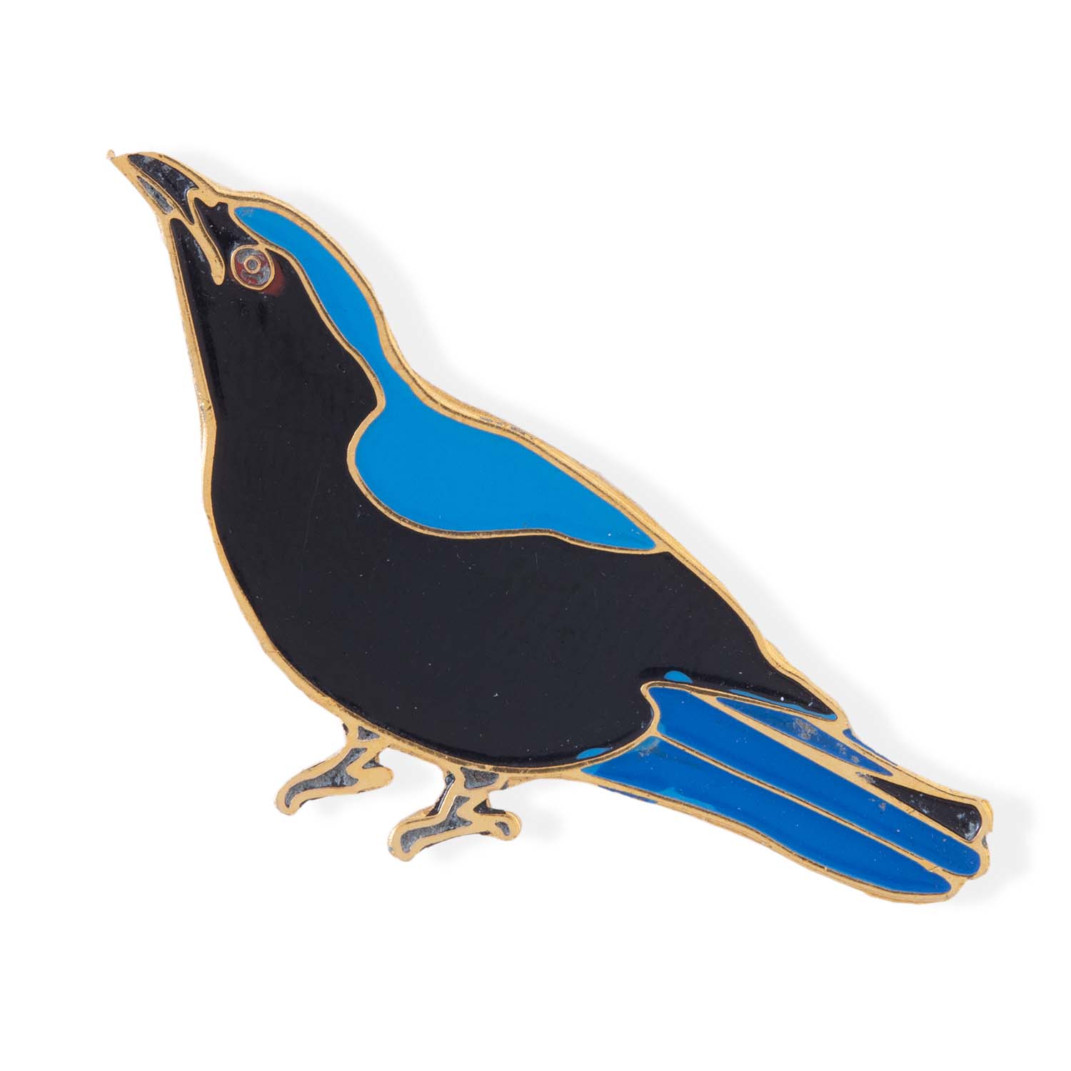 Asian Fairy Bluebird – Lapel Pin – WWF Nature Store