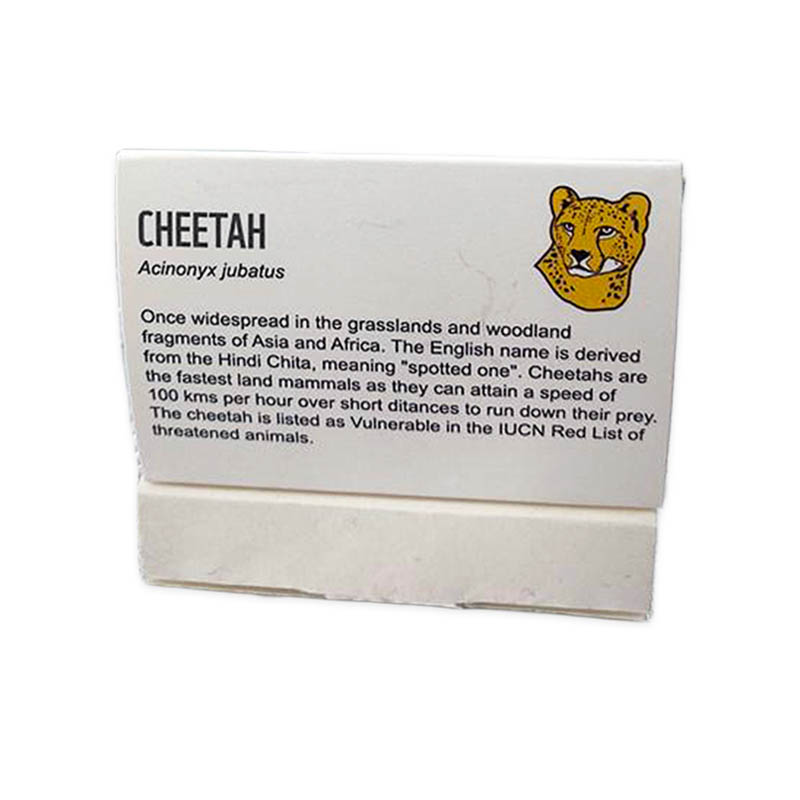 snow leopard – Lapel Pin – WWF Nature Store