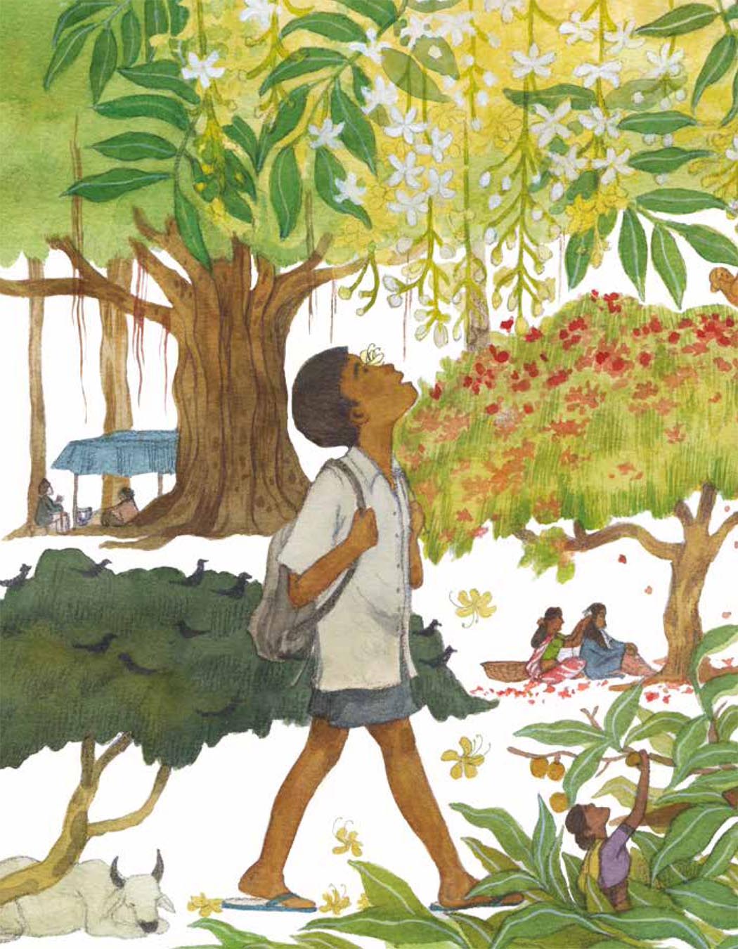 Let’s Talk About Trees – WWF Nature Store