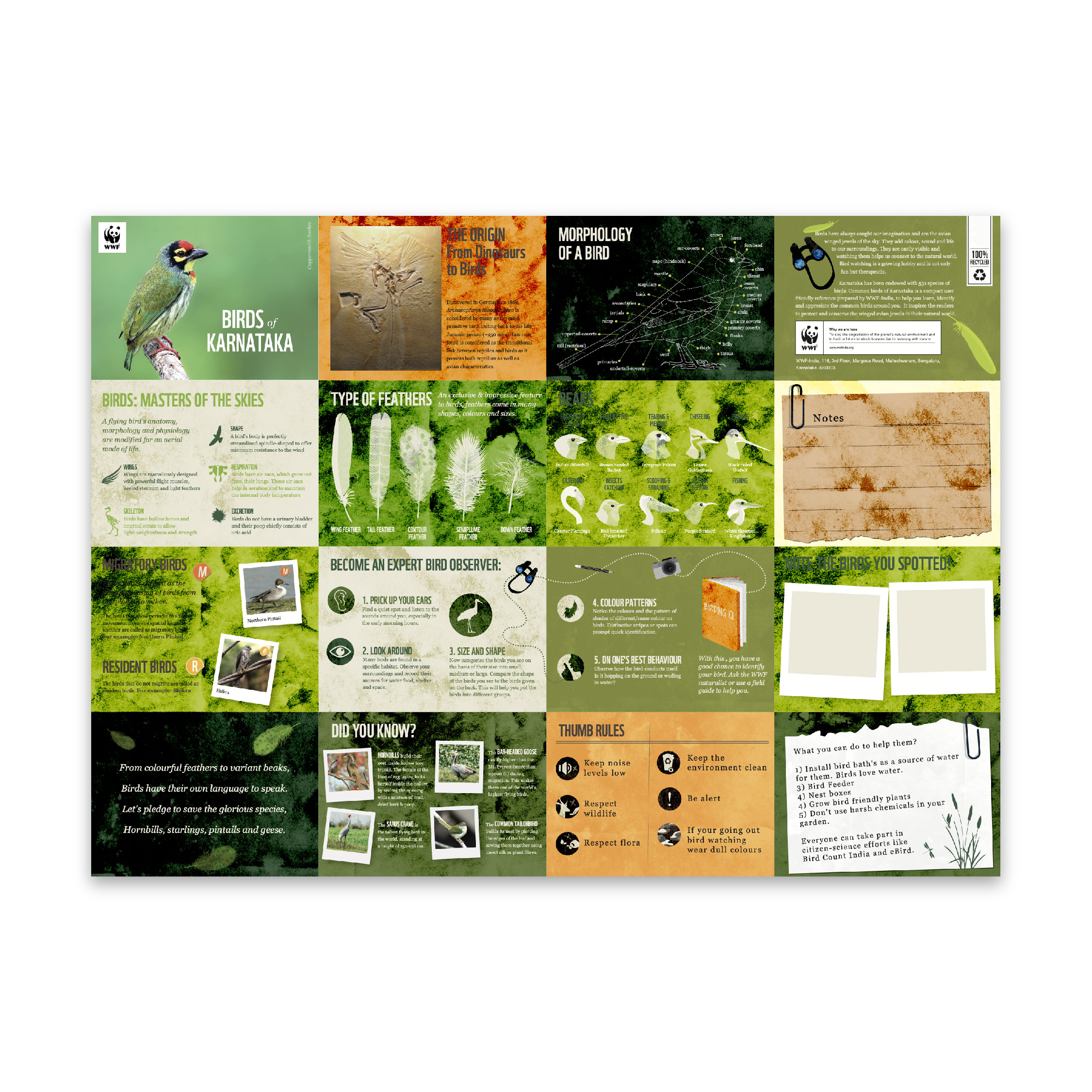 Set of 2 Karnataka Field Guides (Birds & Snakes) – WWF Nature Store