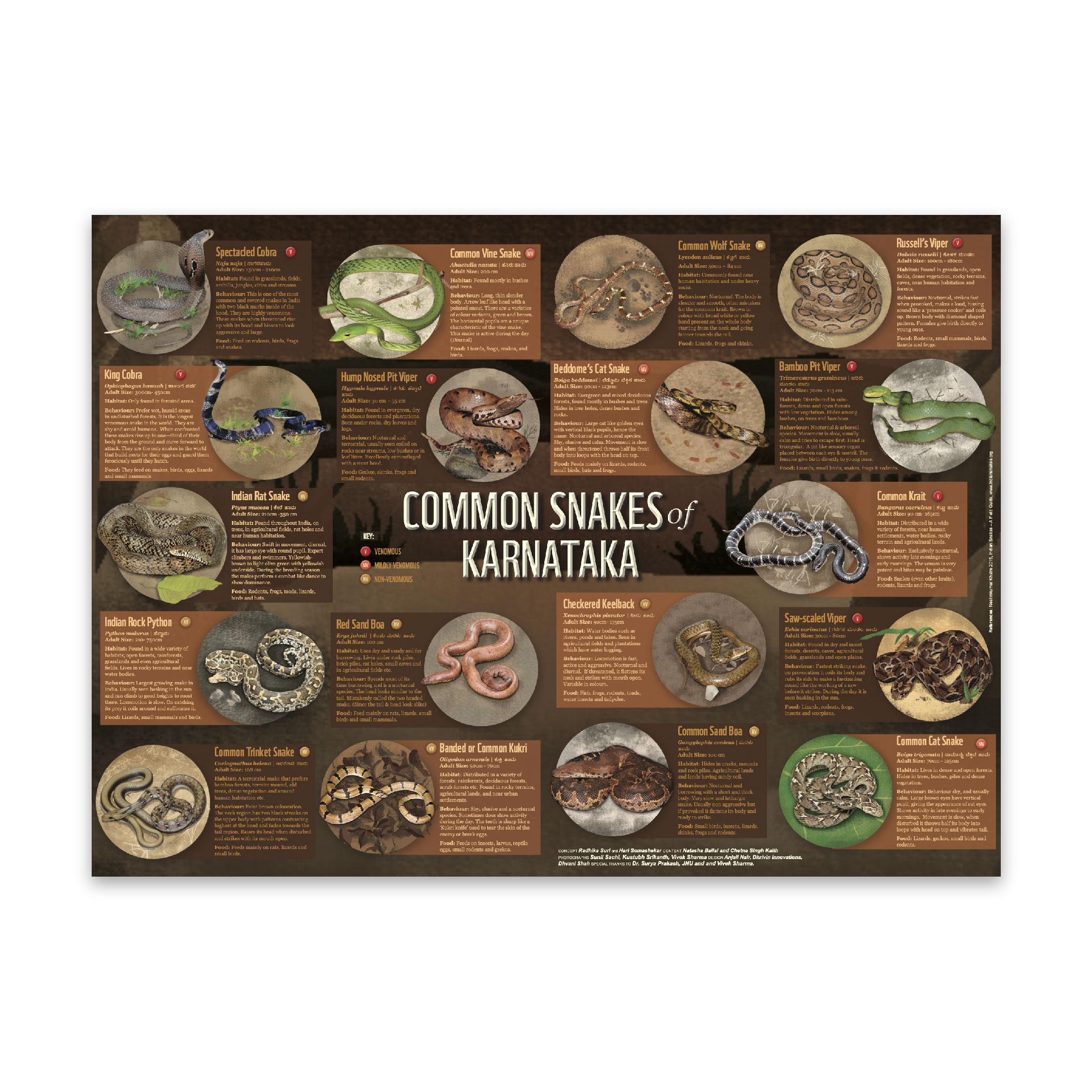 Set of 2 Karnataka Field Guides (Birds & Snakes) – WWF Nature Store