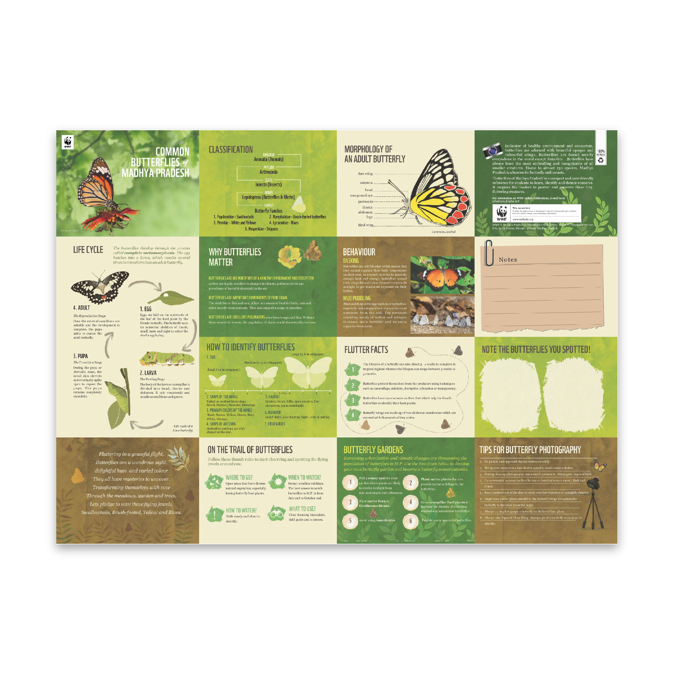 Set of 2 Madhya Pradesh Field Guides (Butterfly & Snakes) – WWF Nature ...