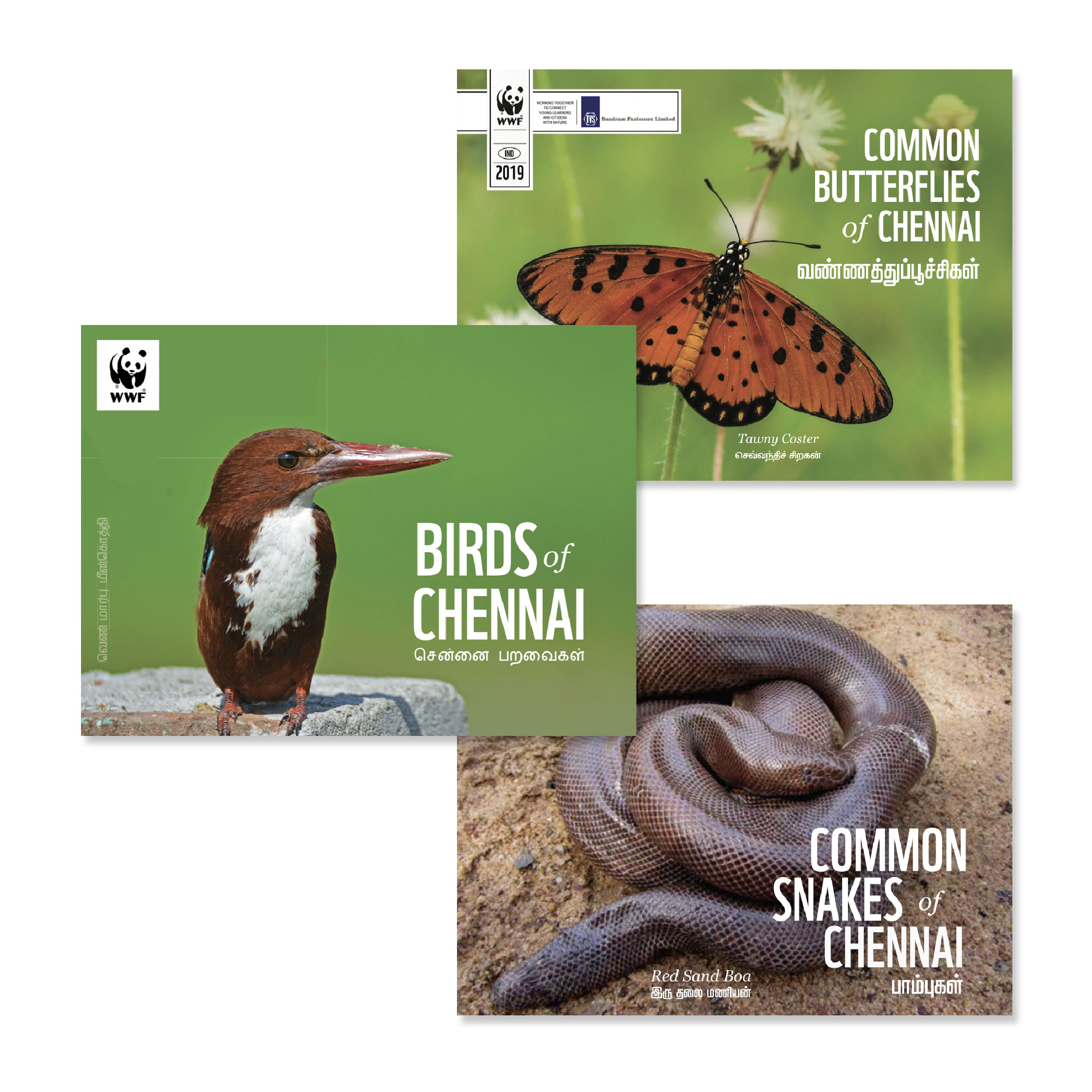 Set of 3 Chennai Field Guides (Birds,Butterflies & Snakes) – WWF Nature ...