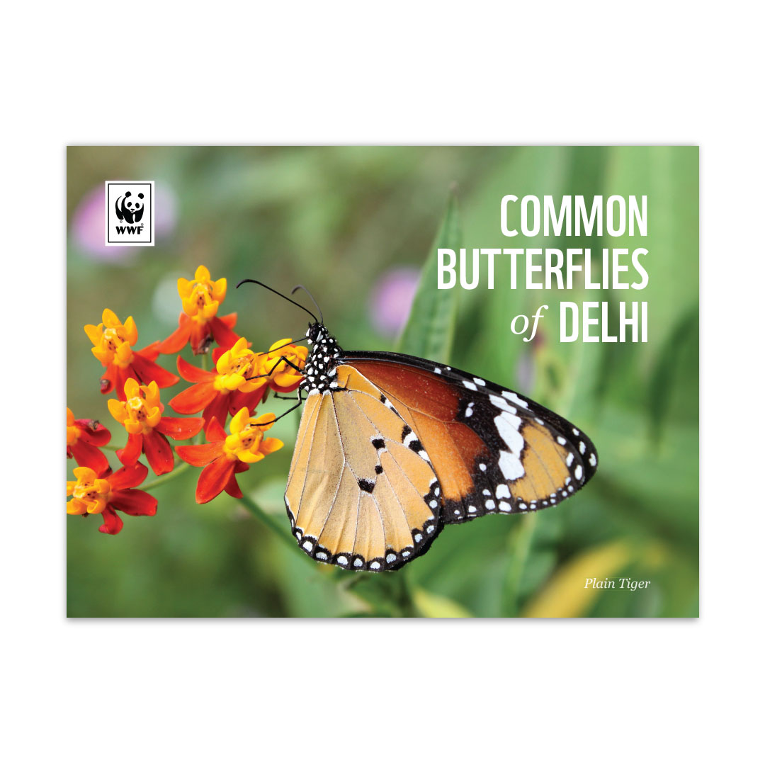 Set of 3 Delhi Field Guides (Trees, Birds & Butterflies) – WWF Nature Store